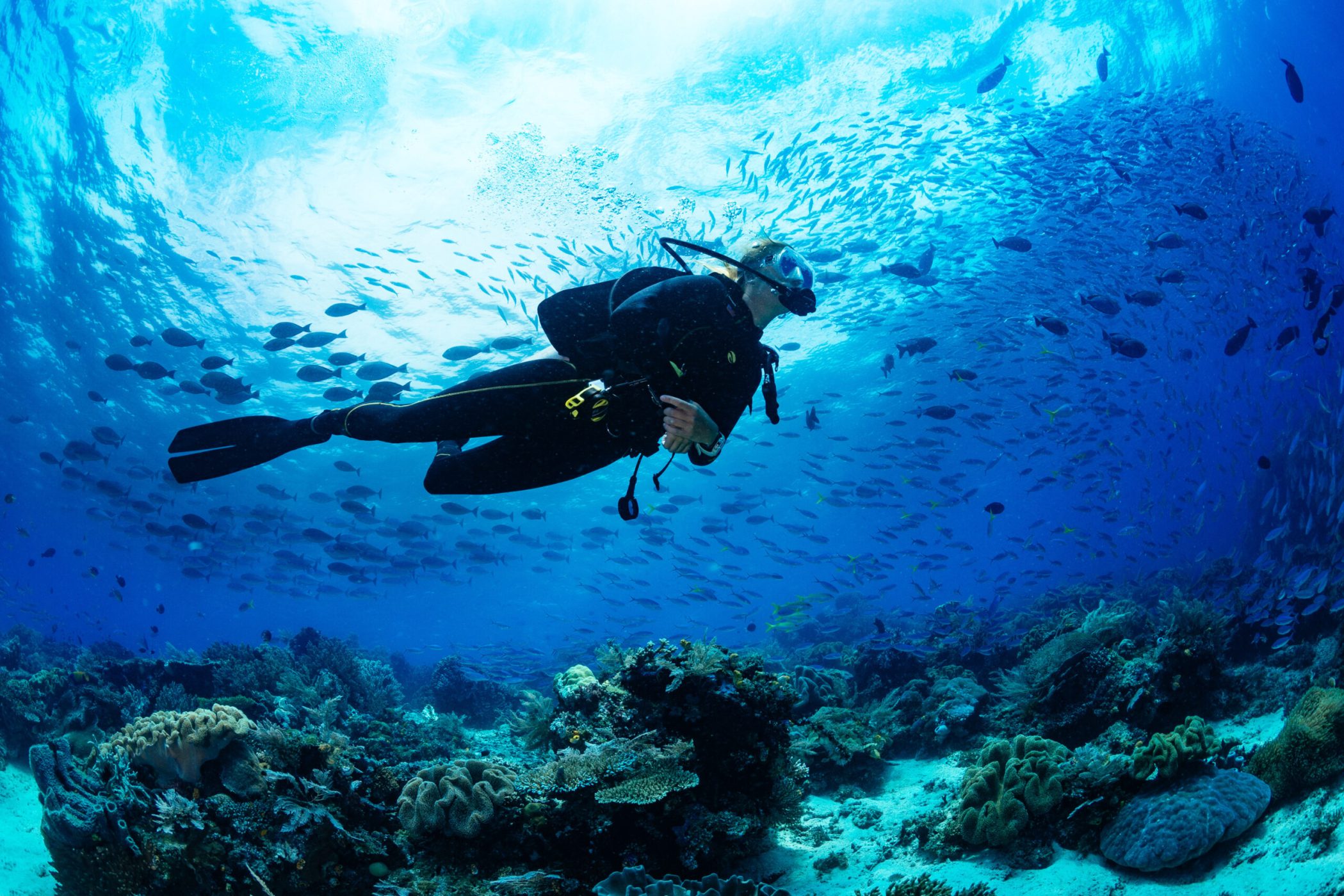 Why Choose Us for Scuba Diving | Try Scuba Diving
