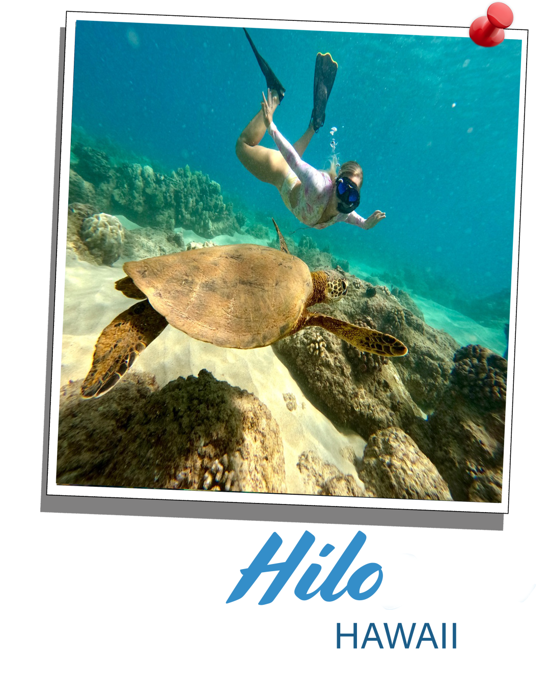 Try Scuba Diving for Beginners: Hawaii, Puerto Rico, & Florida