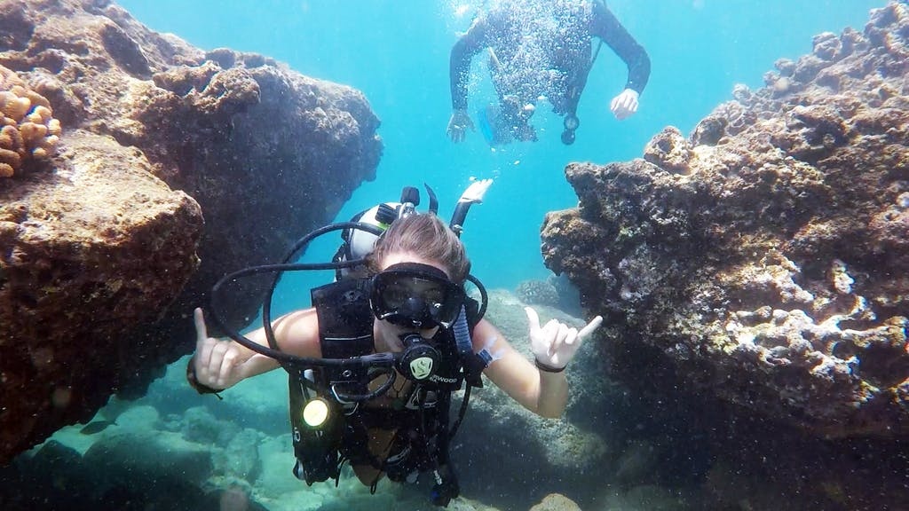 Scuba Diving in Honolulu Hawaii | Try Scuba Diving Honolulu