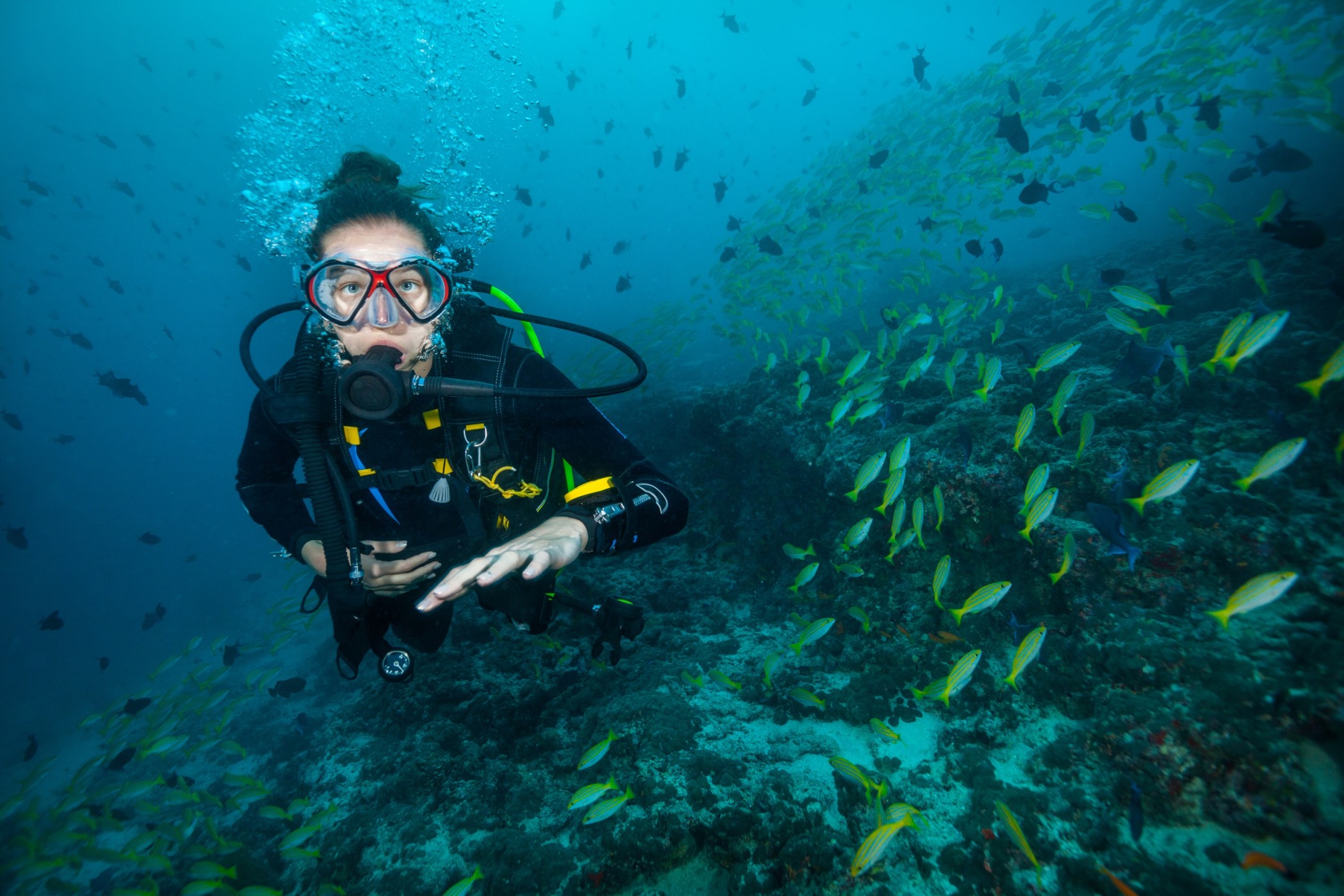 Scuba Diving in Honolulu Hawaii | Try Scuba Diving Honolulu