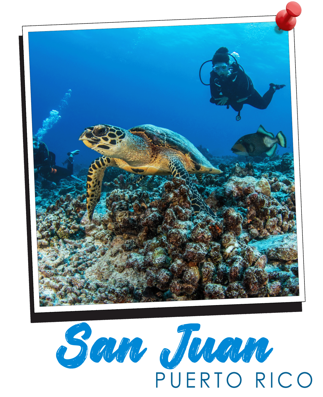 Try Scuba Diving for Beginners: Hawaii, Puerto Rico, & Florida