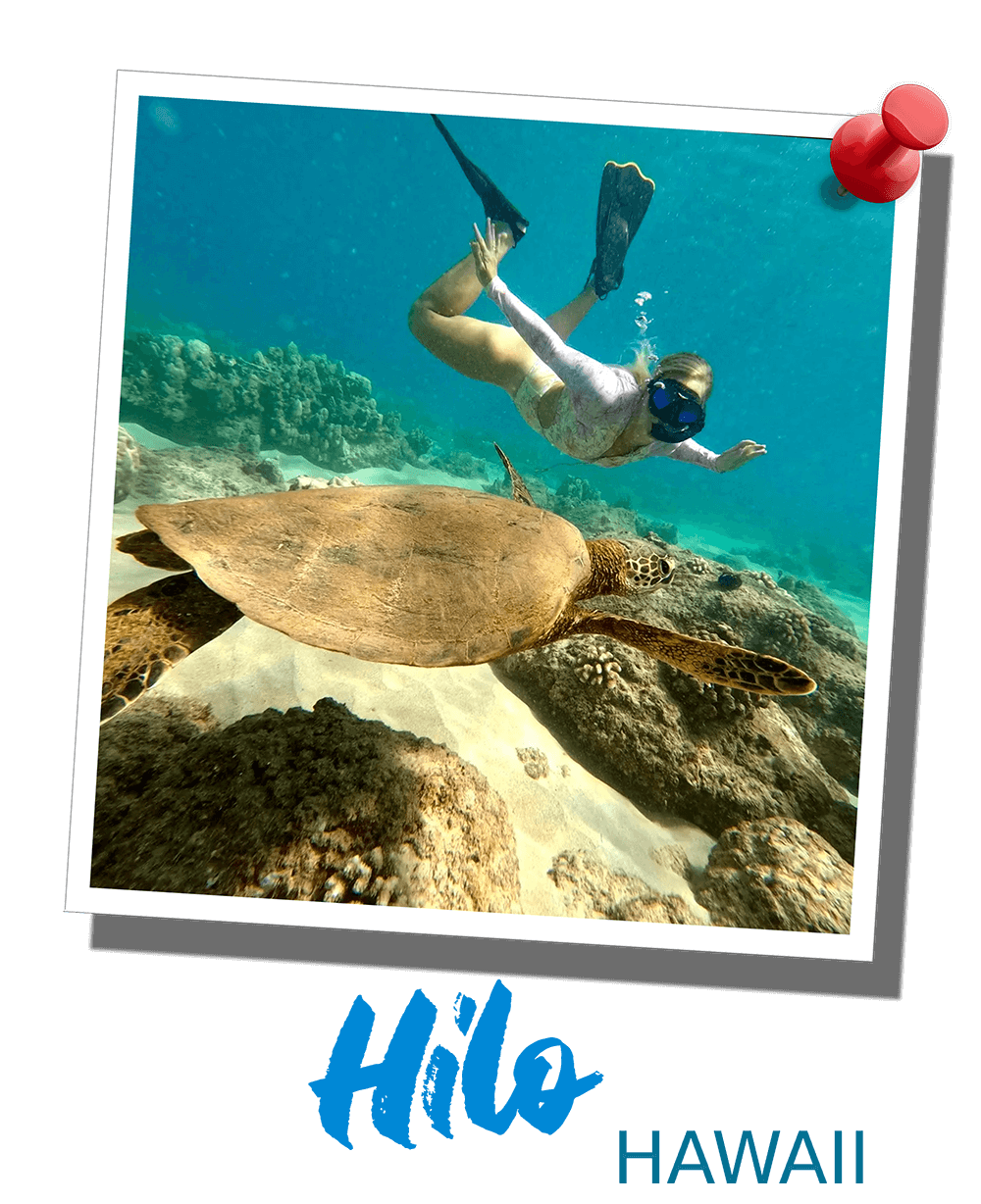 Try Scuba Diving for Beginners: Hawaii, Puerto Rico, & Florida